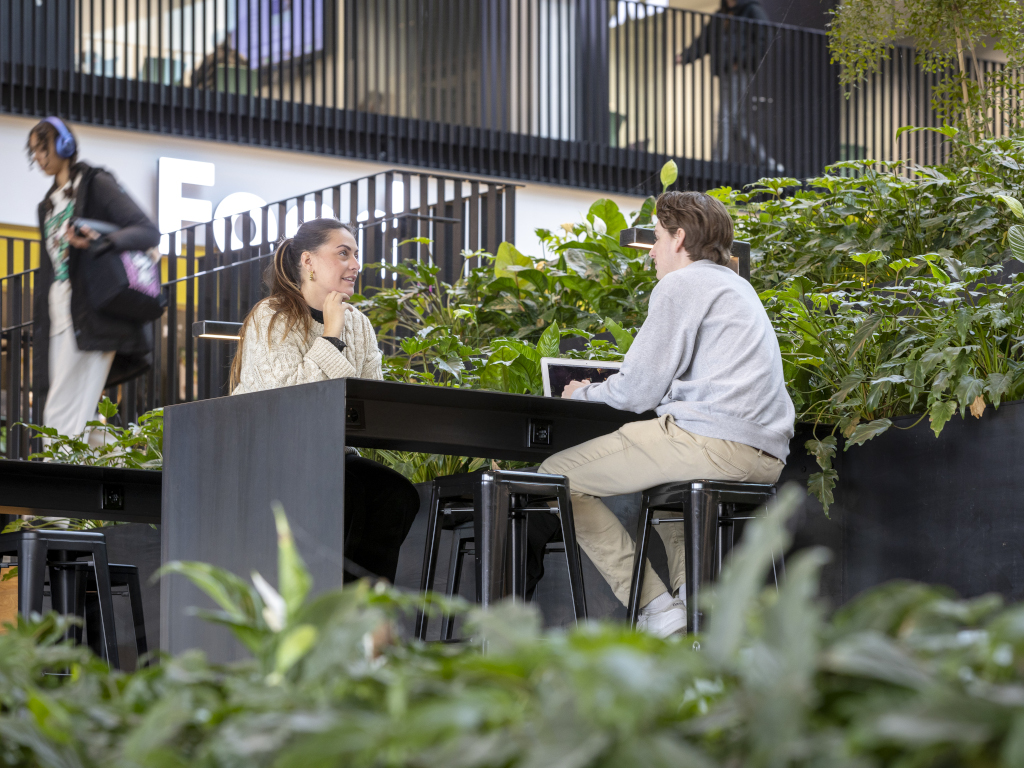 Hogeschool Inholland